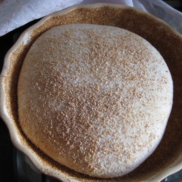 Seventh from The Italian Bread Project - Sourdough pane di Genzano