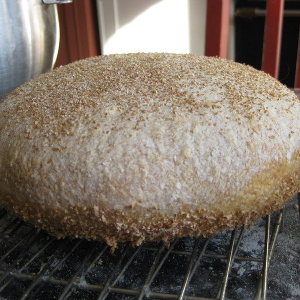 Seventh from The Italian Bread Project - Sourdough pane di Genzano